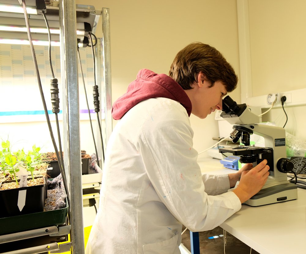 Storm Seeds passion for progress