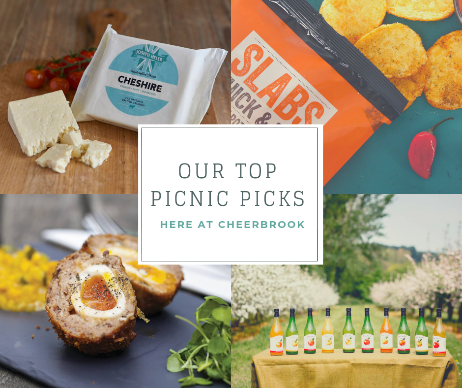 Our top picnic picks