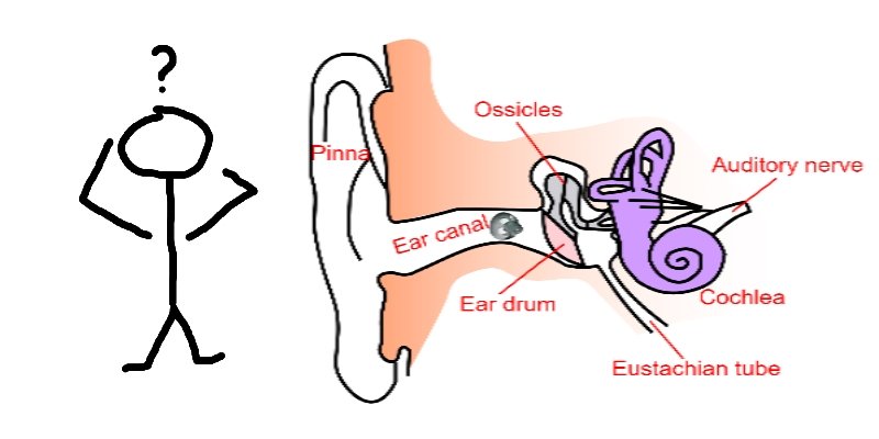 Did a Hearing Aid Dome Get Stuck In Your Ear? – Hearing Insider