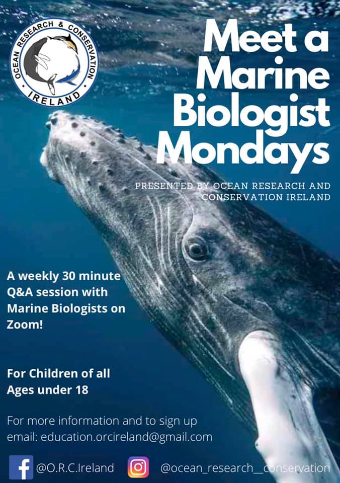 Ocean Research & Conservation Association (ORCAIreland)