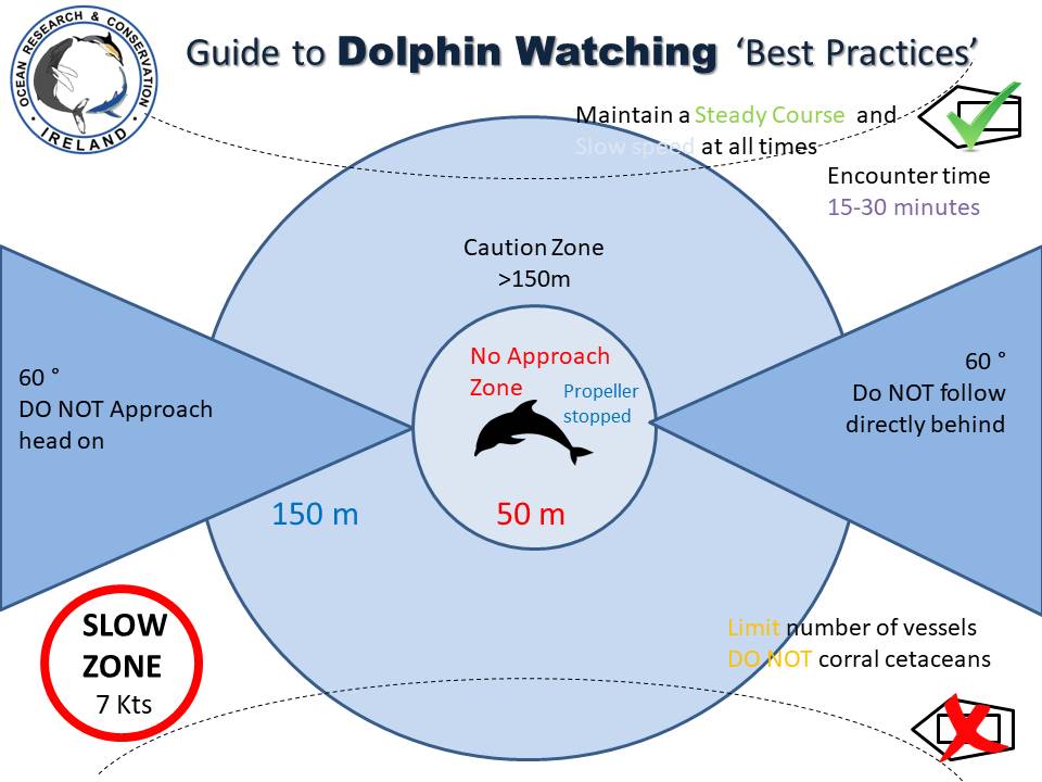 Ocean Research & Conservation Association of Ireland