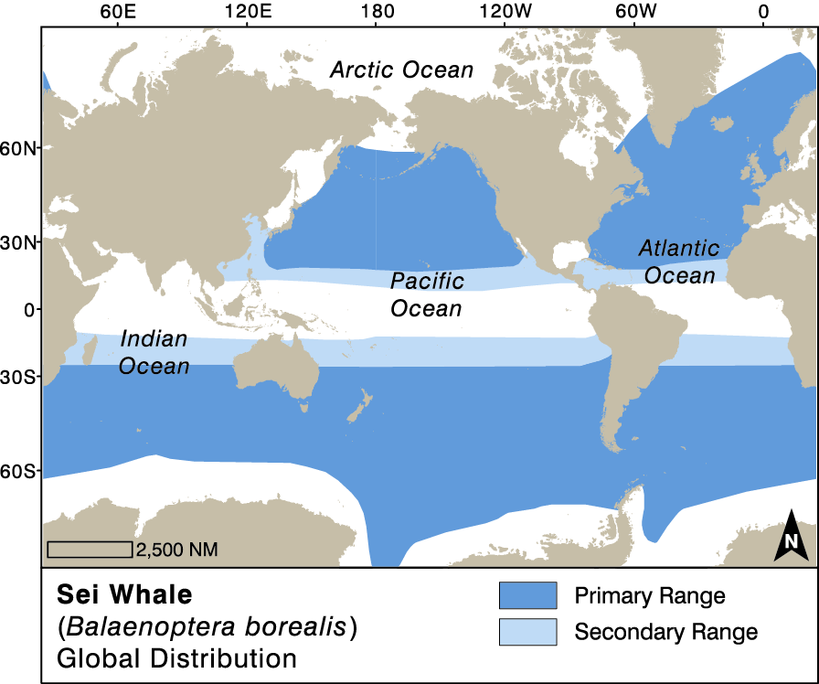 Ocean Research & Conservation Association of Ireland