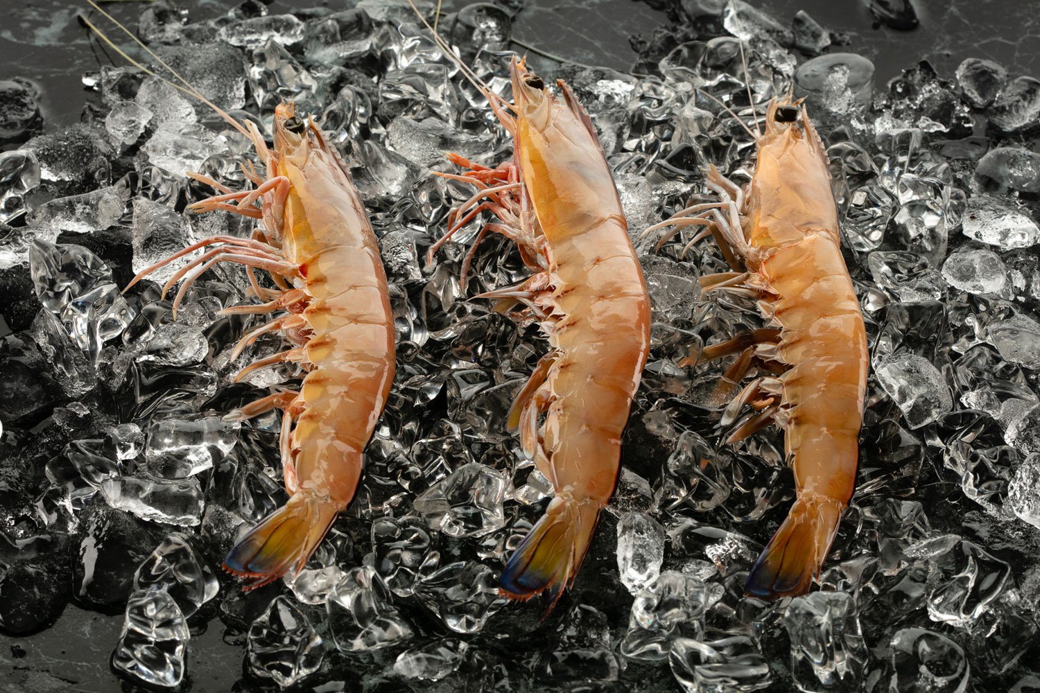 HOME [www.oceanicfood.com.au]