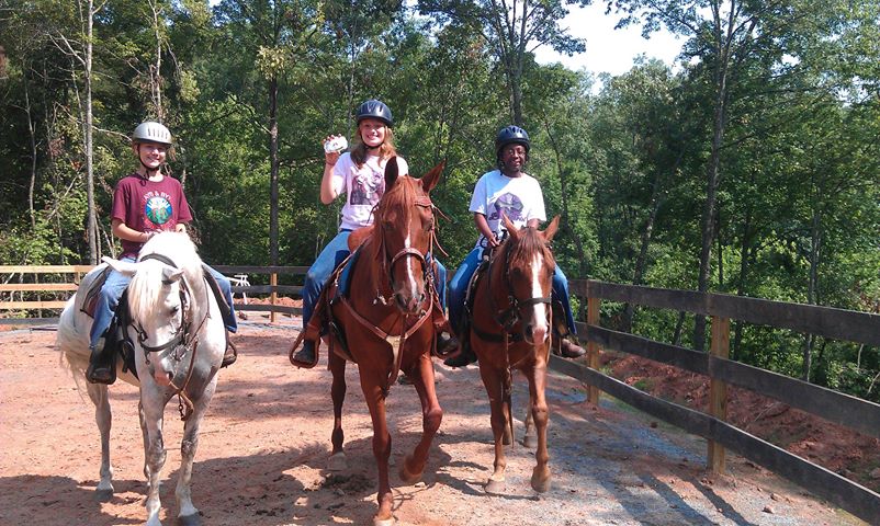 Horseback Riding Blue Ridge Mountains and Cabin Rental