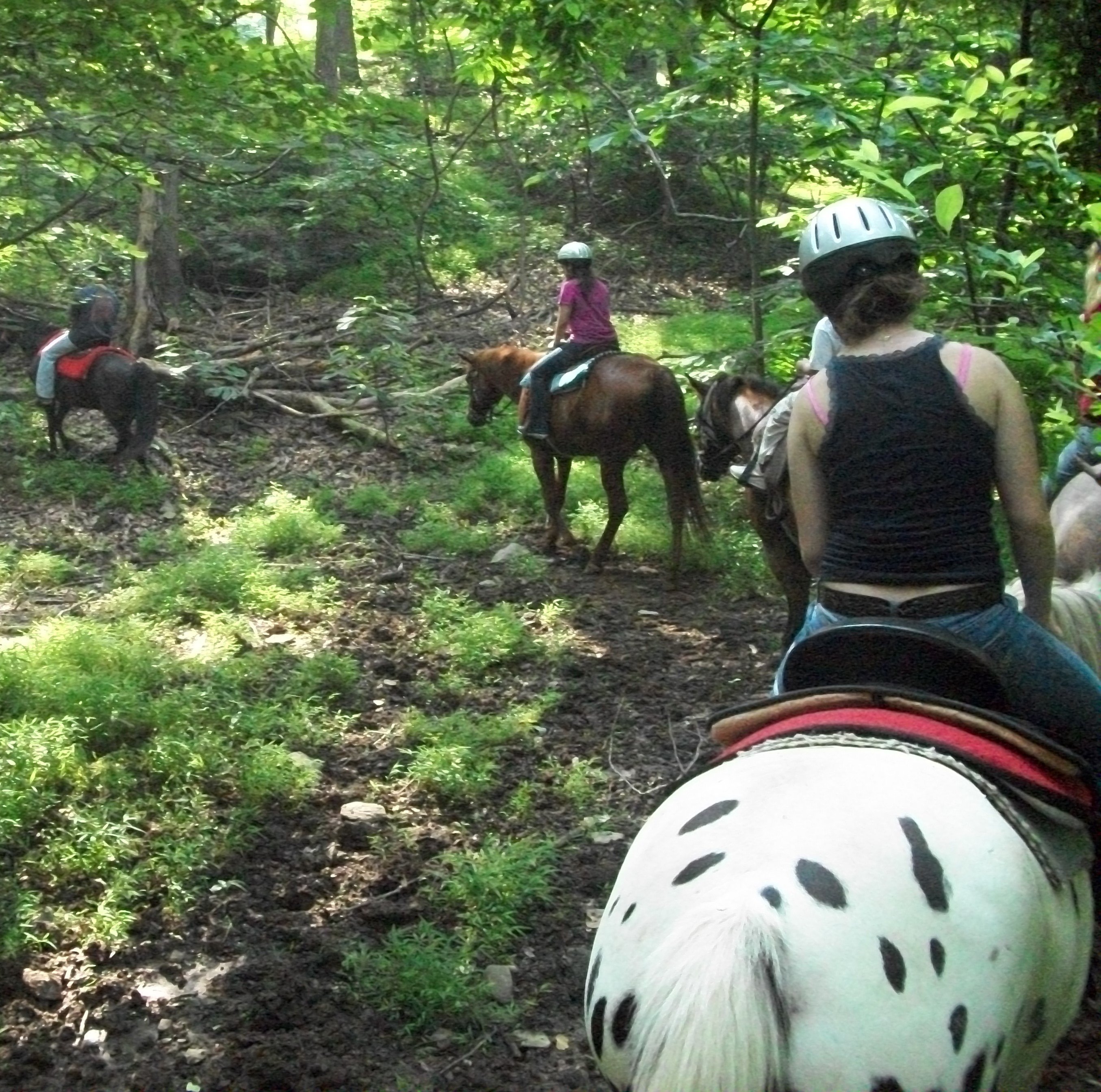 Horseback Riding Blue Ridge Mountains and Cabin Rental