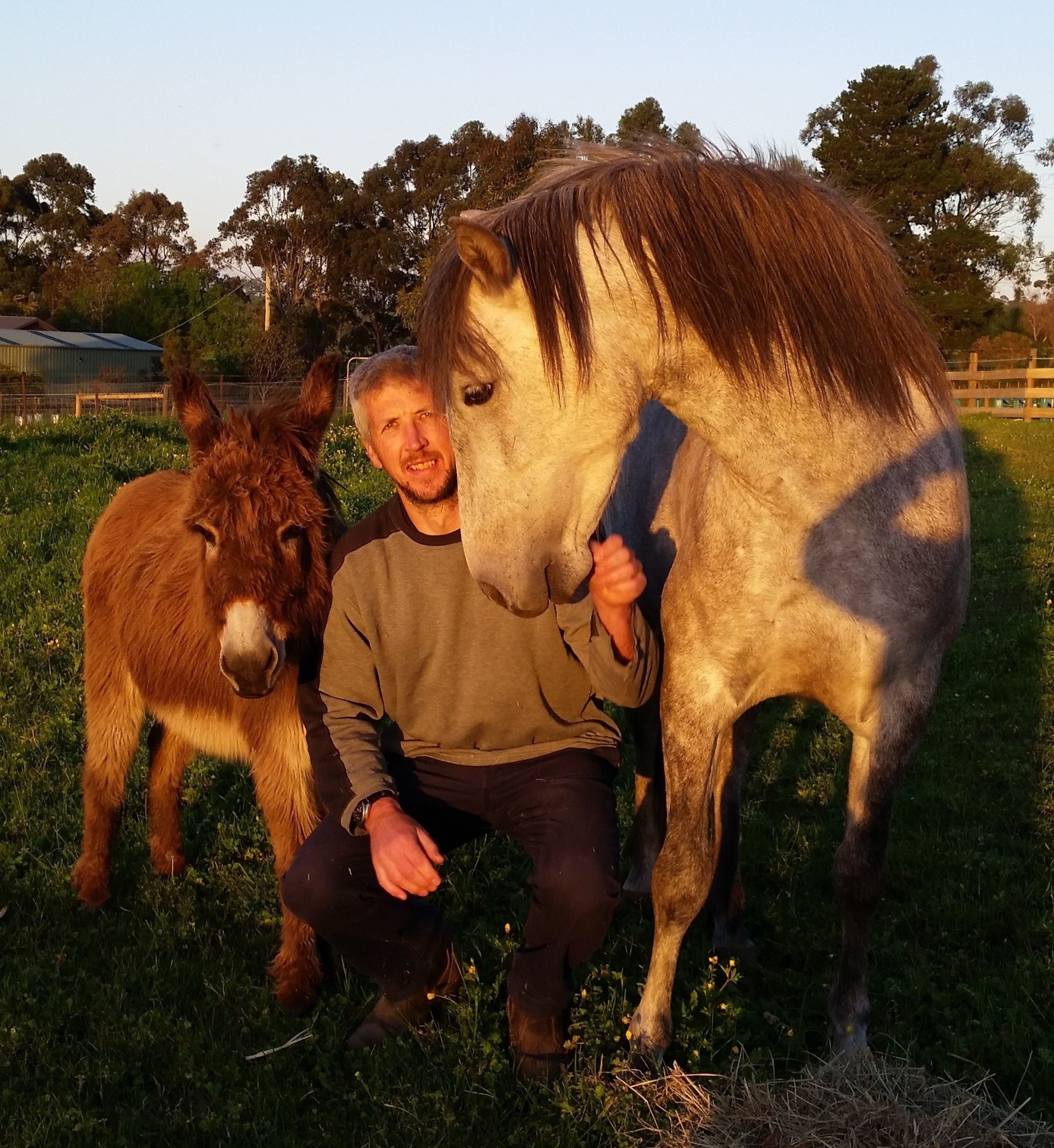 Meet Drouin Veterinary Clinic’s Team Members | Drouin