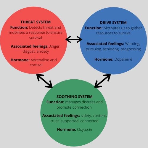 Balancing Your Emotional Regulation Systems