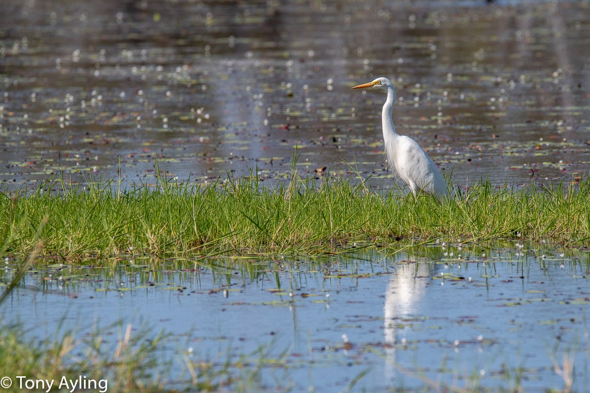 Kinrara Expeditions | The Land at Kinrara