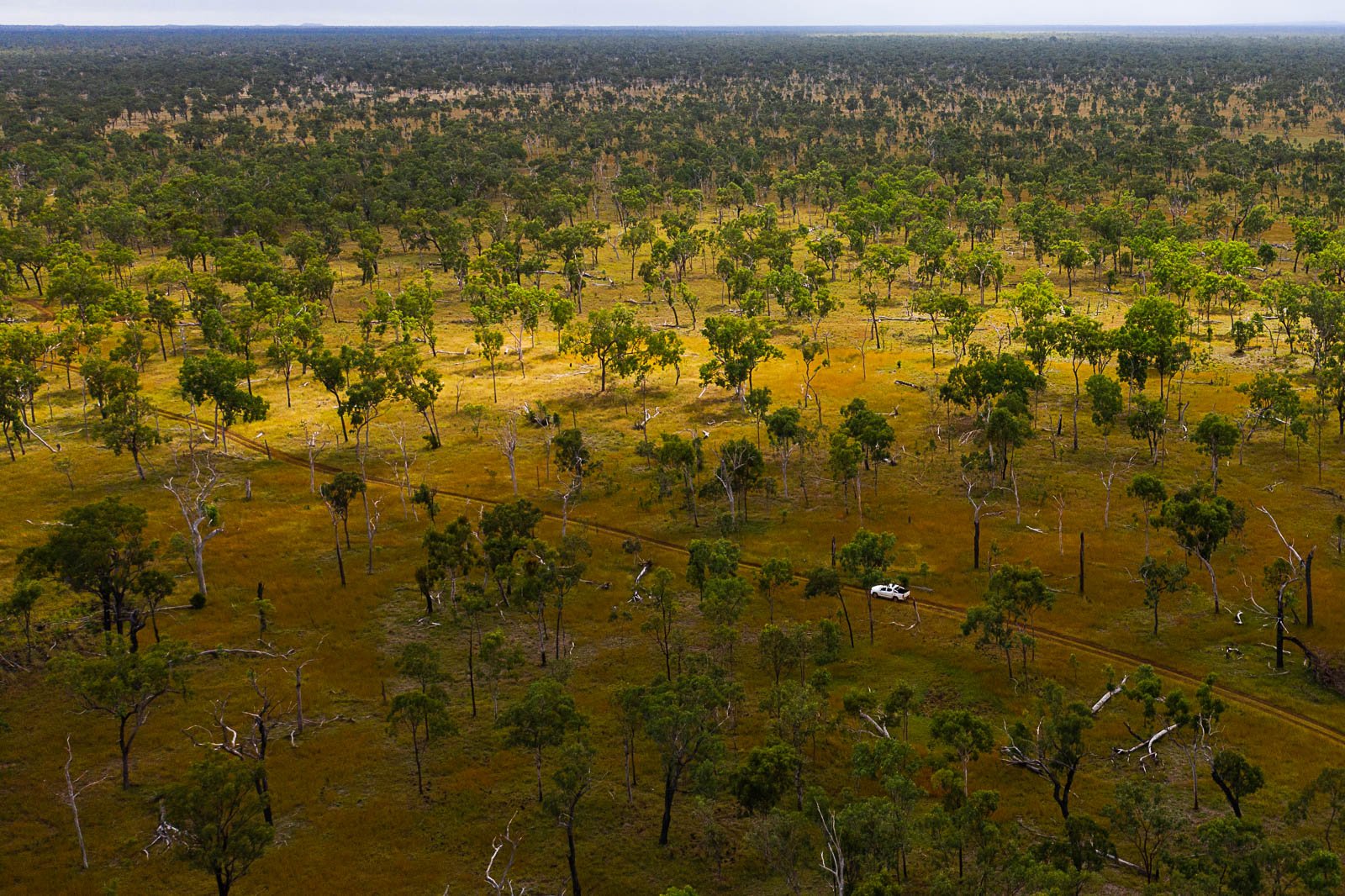 Kinrara Expeditions | The Land at Kinrara