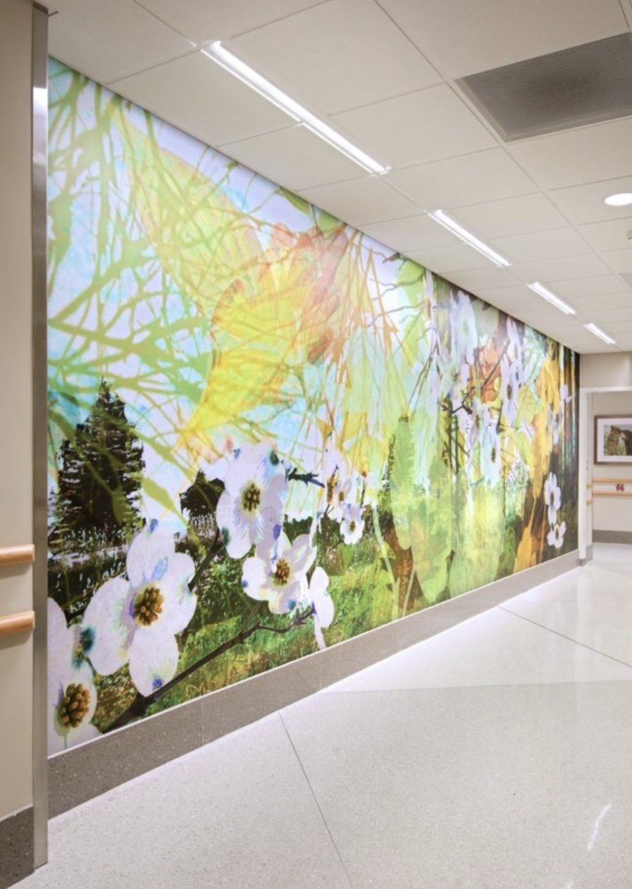 TPC Works - Hospital Whiteboards & Admit Discharge Folders