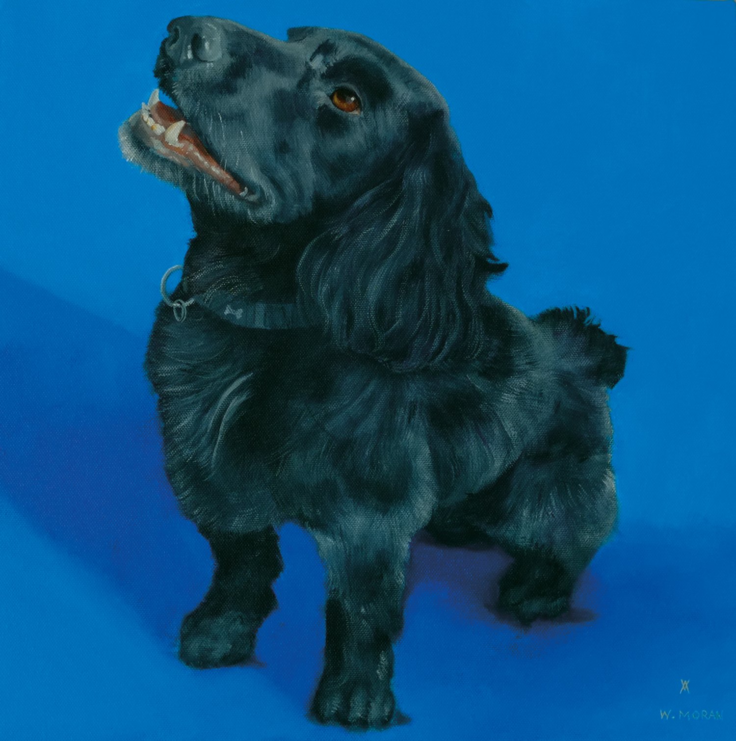 Colour My Pooch. Dog Portraits UK. hand Painted