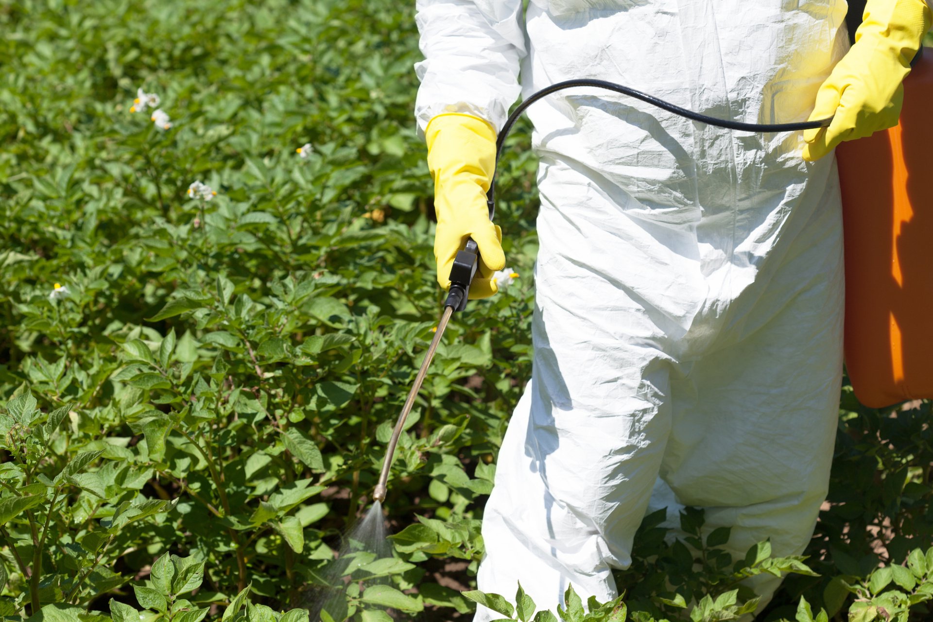 How To Use Herbicide In Your Garden at Erin Craig blog
