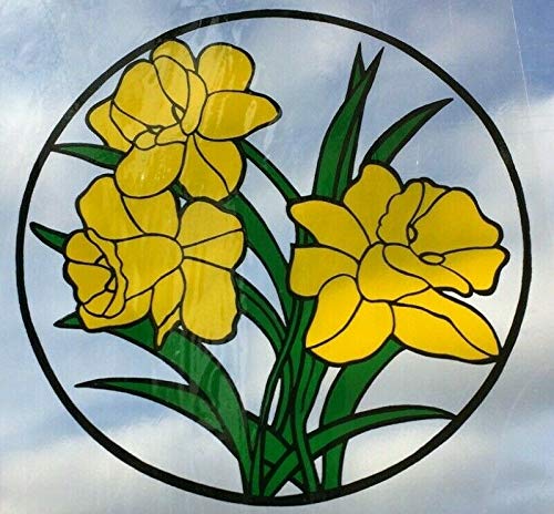 Double glazing repairs | Paul Tibbs Ltd