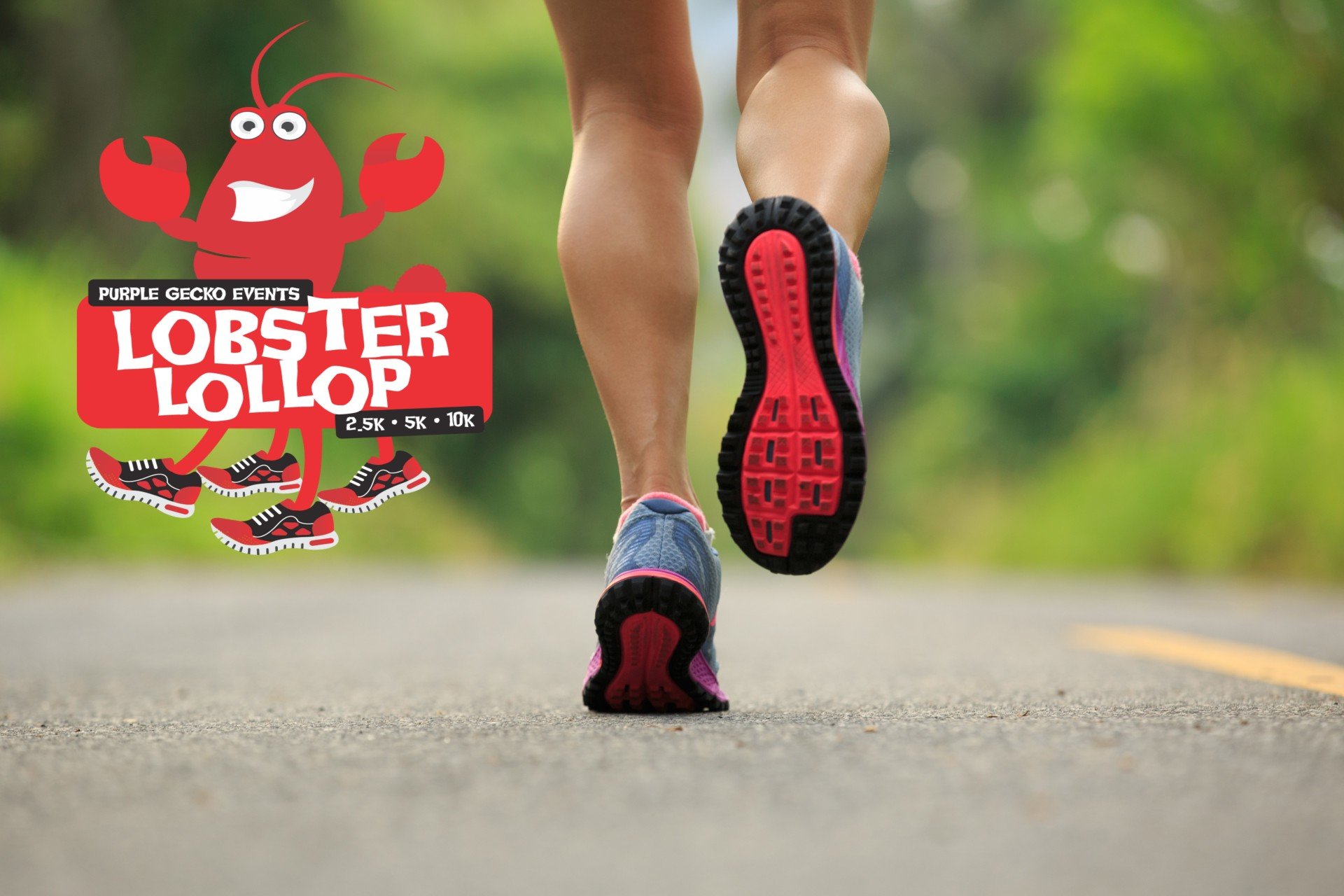 Purple Gecko Events - Music - Trail Running - Sports