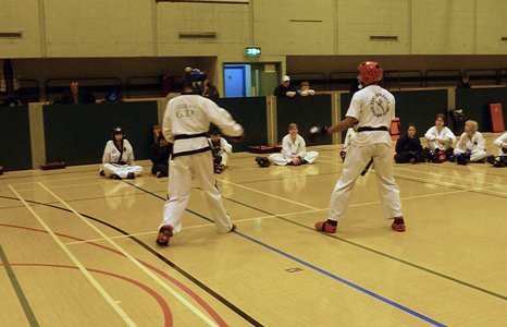 GTI Tournament Rules | Global Taekwondo International | UK