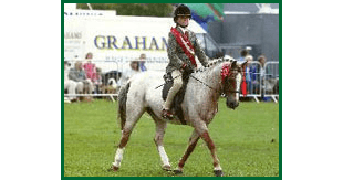 Horse Tuition - Twinstead | Twinstead Riding School