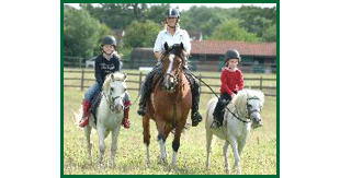 Horse Tuition - Twinstead | Twinstead Riding School