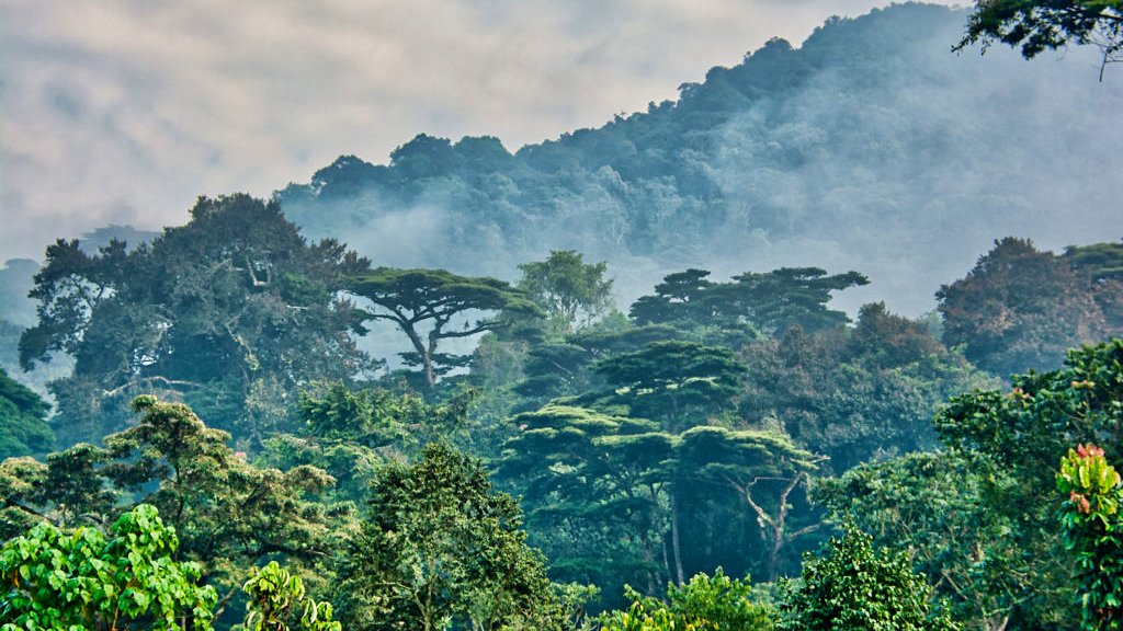 Best African Safari Wildlife Parks - Our Top 5 Picks