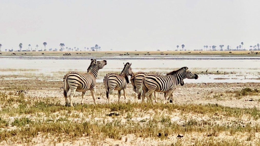 Botswana Attractions & Highlights For Tourists| eXplore Plus