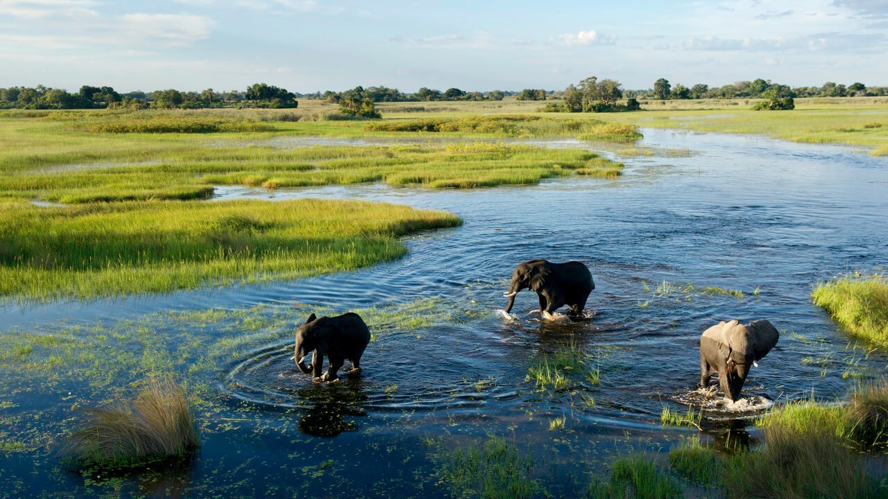 Botswana National Parks Safaris and Tours | eXplore Plus