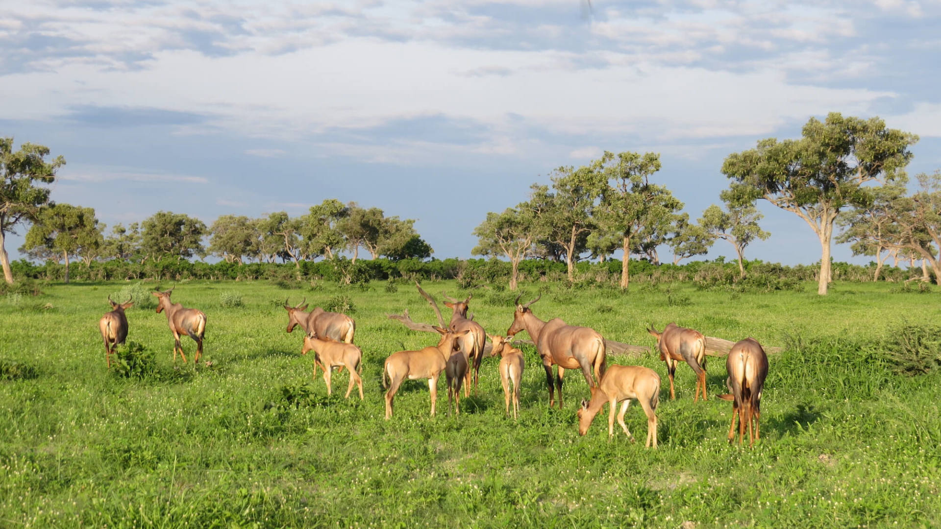 Botswana Attractions & Highlights For Tourists| eXplore Plus