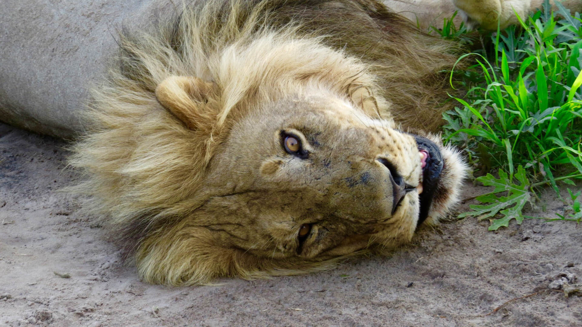 Botswana Attractions & Highlights For Tourists| eXplore Plus