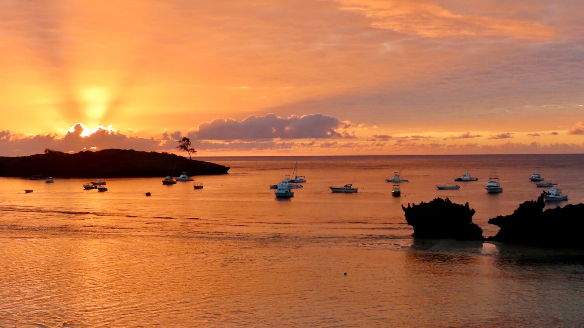 Kenya Safari Travel Vacation and Tours | eXplore Plus