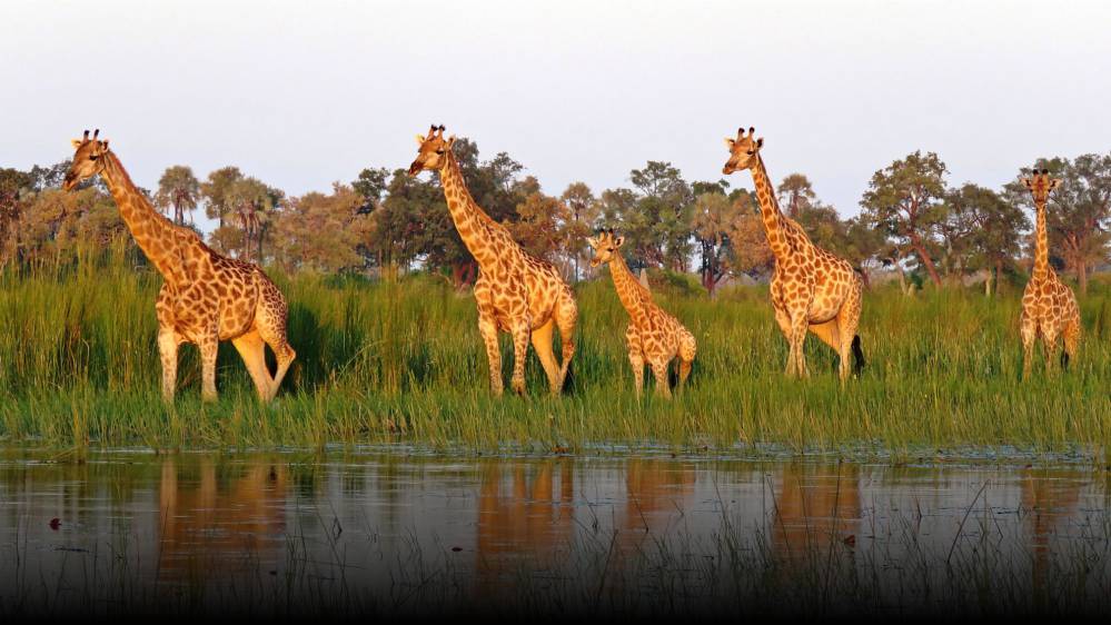 Africa Tours and Safaris | eXplore Plus Travel and Tours