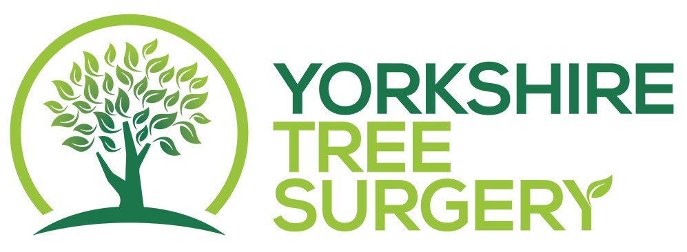 Tree surgeon | Yorkshire Tree Surgery