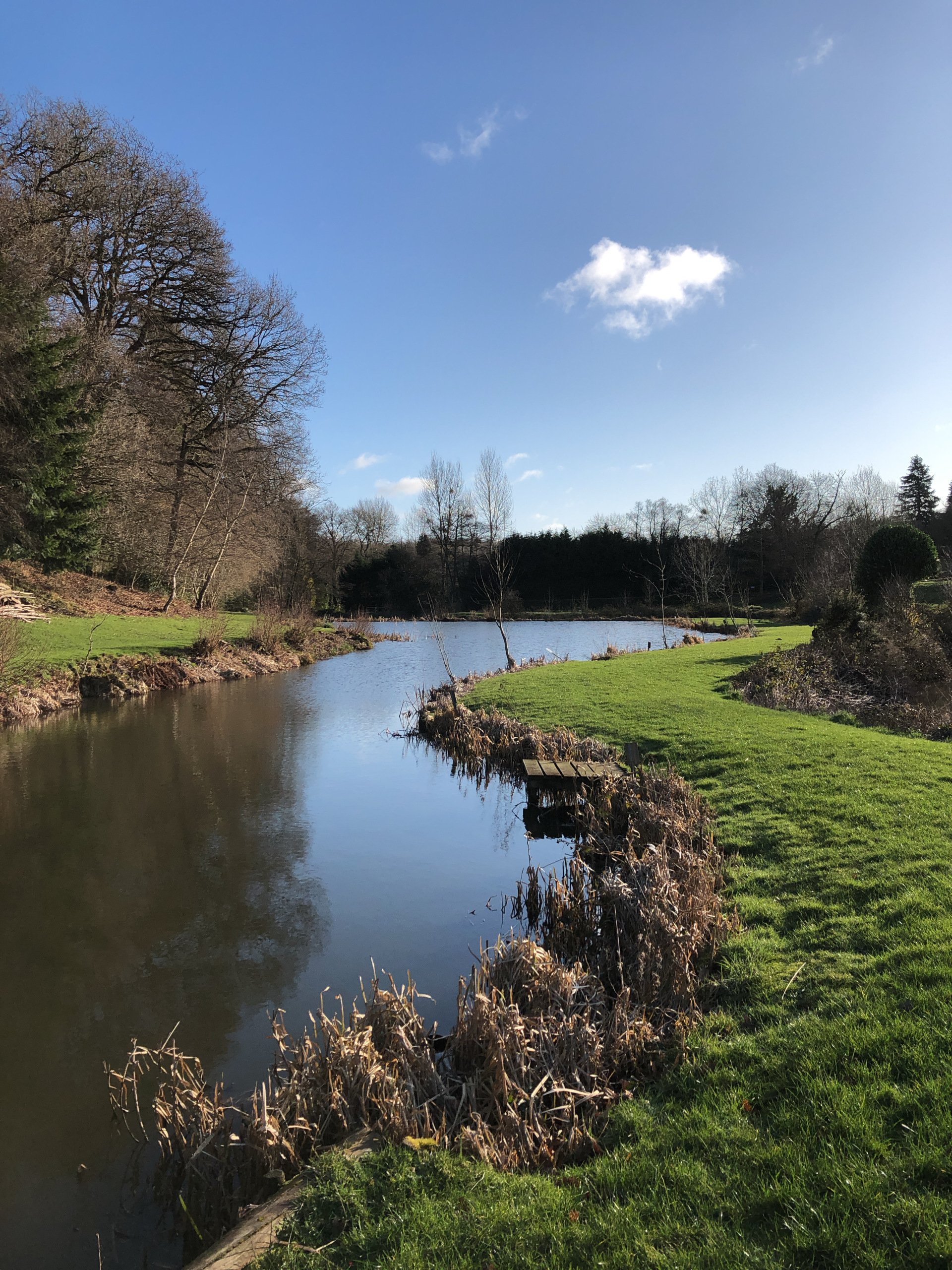 Furnace Mill Fishery - Fishing page