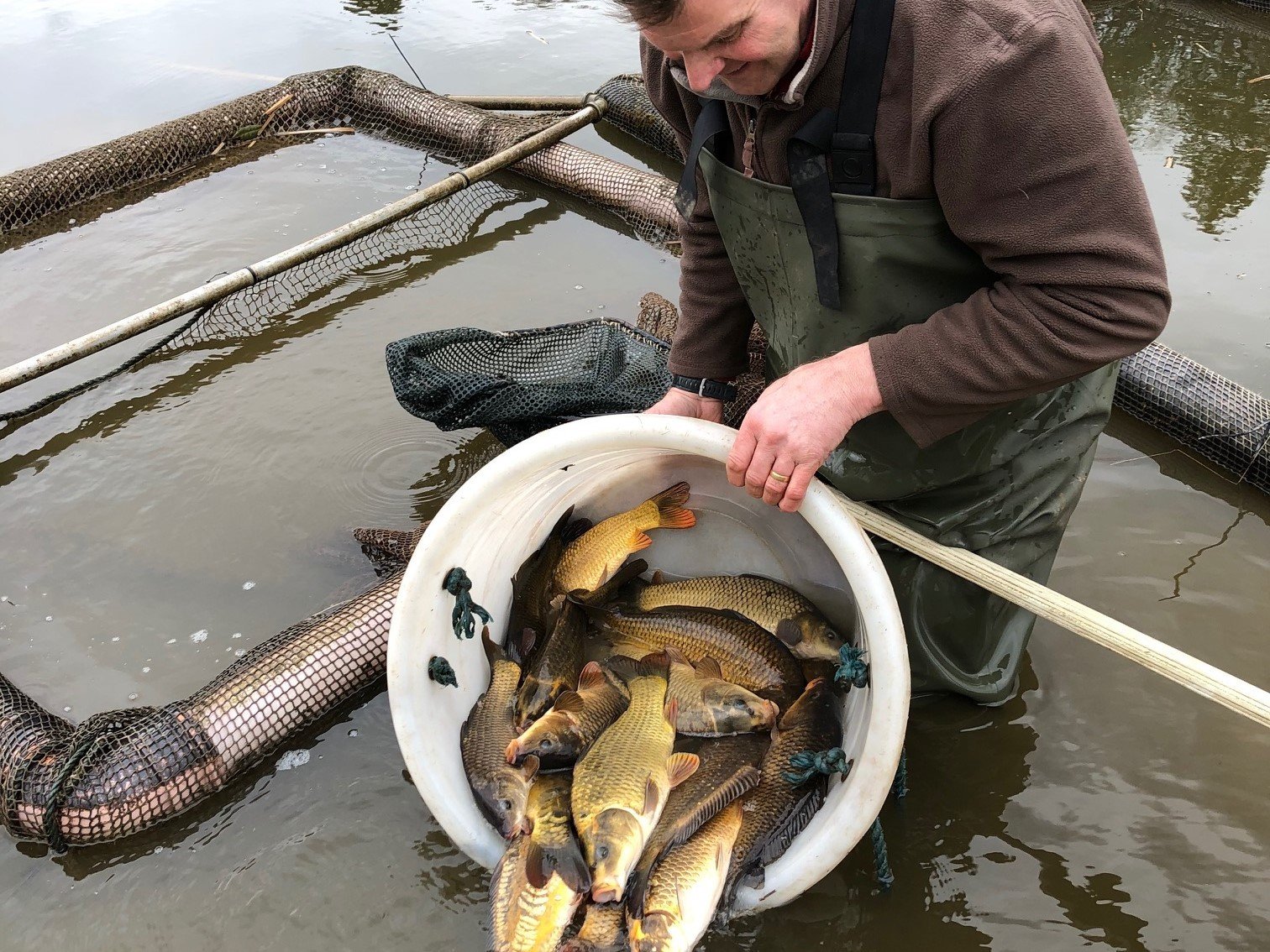 Furnace Mill Fishery - Home Page