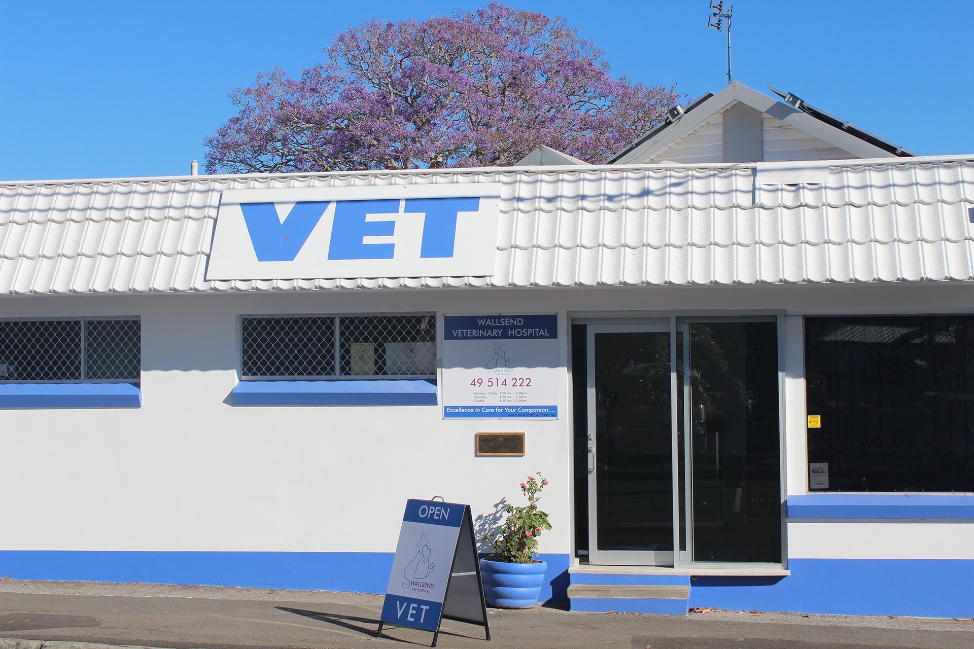Veterinary Clinic in Wallsend, NSW | Wallsend Vet