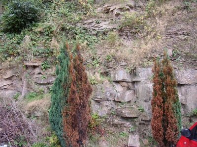 Sheffield Area Geology Trust - Silkstone Rock