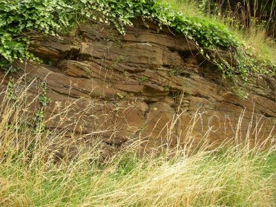 Sheffield Area Geology Trust - Silkstone Rock