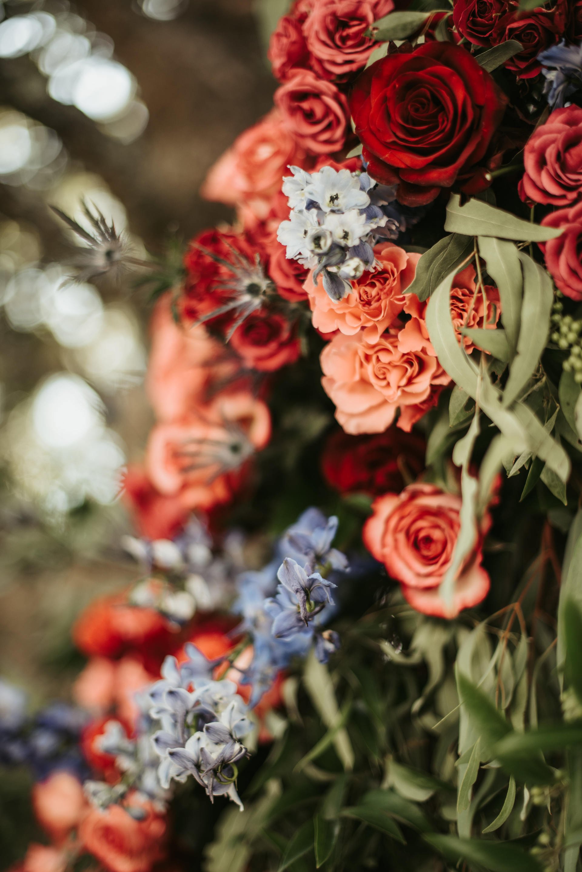 Portfolio | Bella Blooms Florist