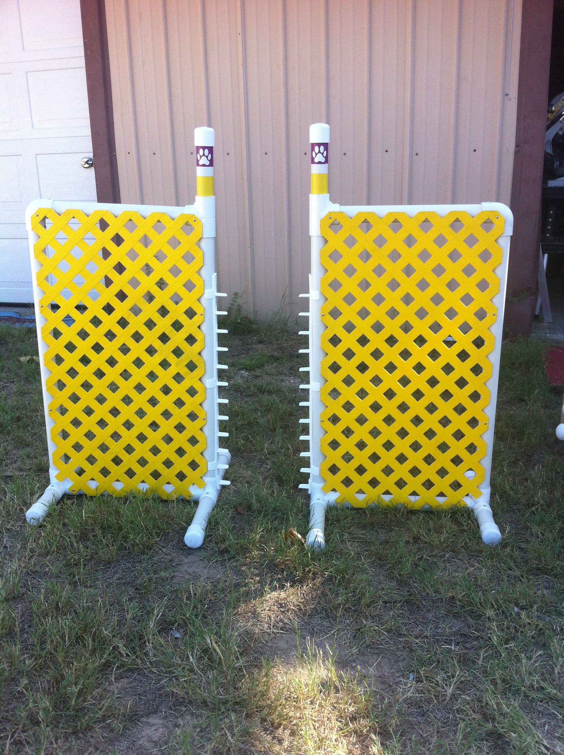 Paw Power Agility Equipment | Photo Gallery