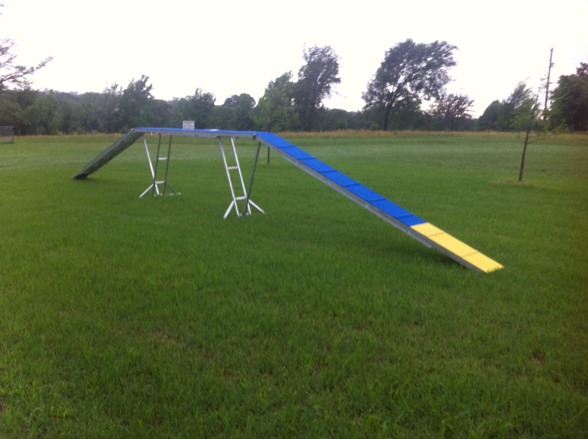Paw Power Agility Equipment | Photo Gallery