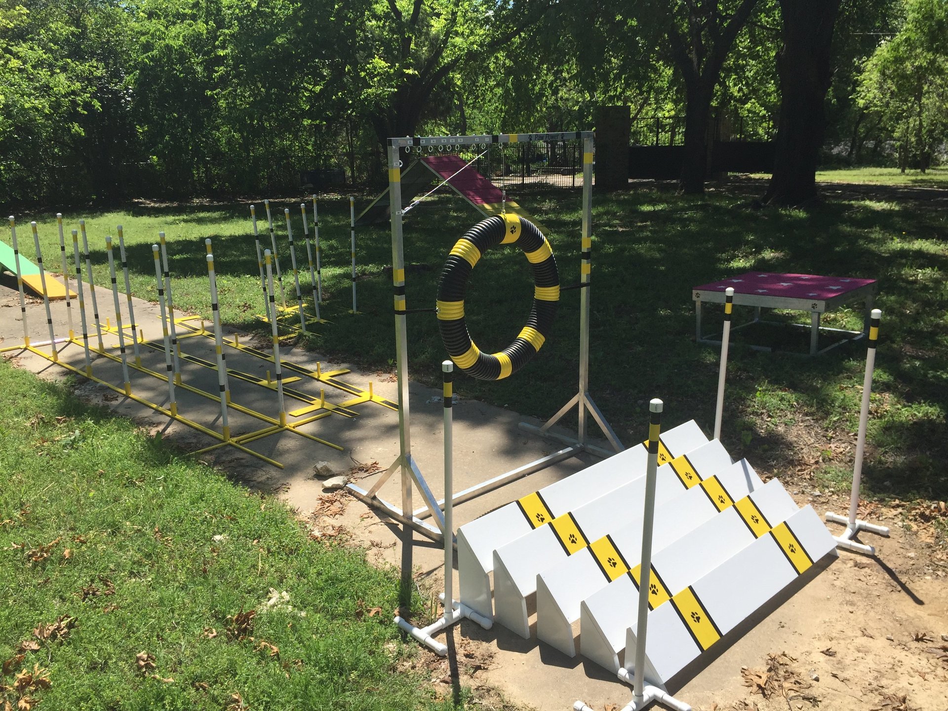 Paw Power Agility Equipment | Photo Gallery