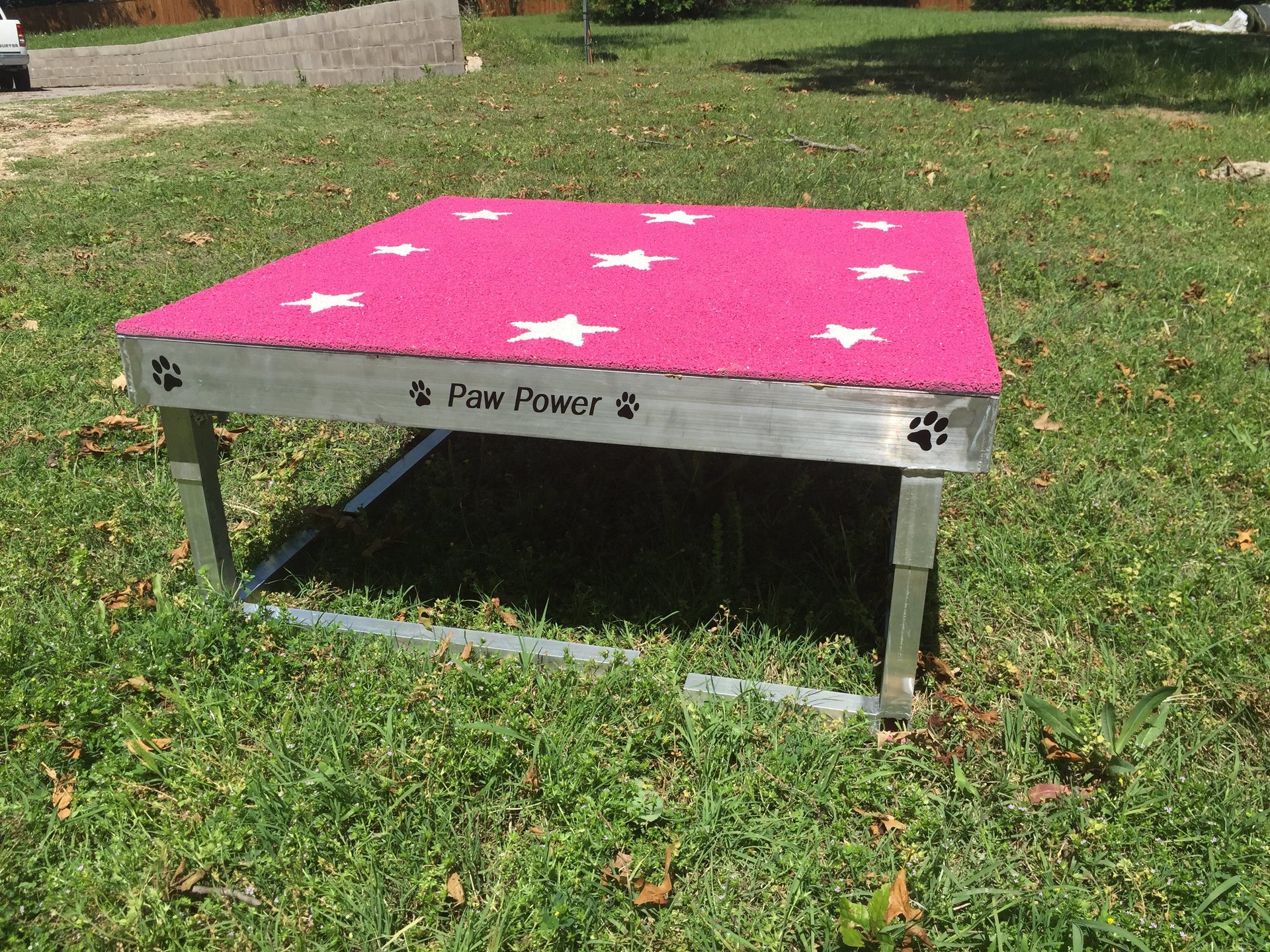 Paw Power Agility Equipment | Photo Gallery