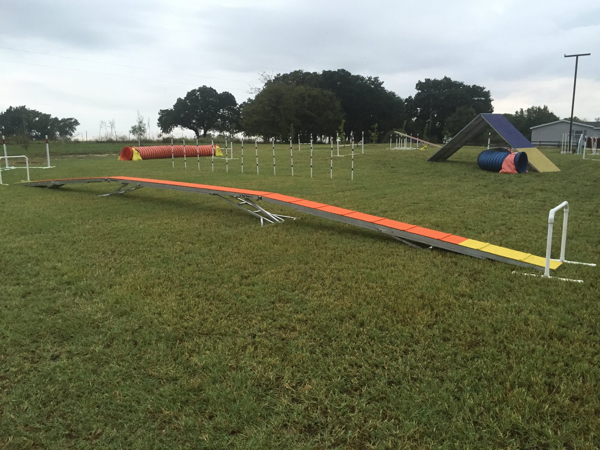 Paw Power Agility Equipment | Photo Gallery