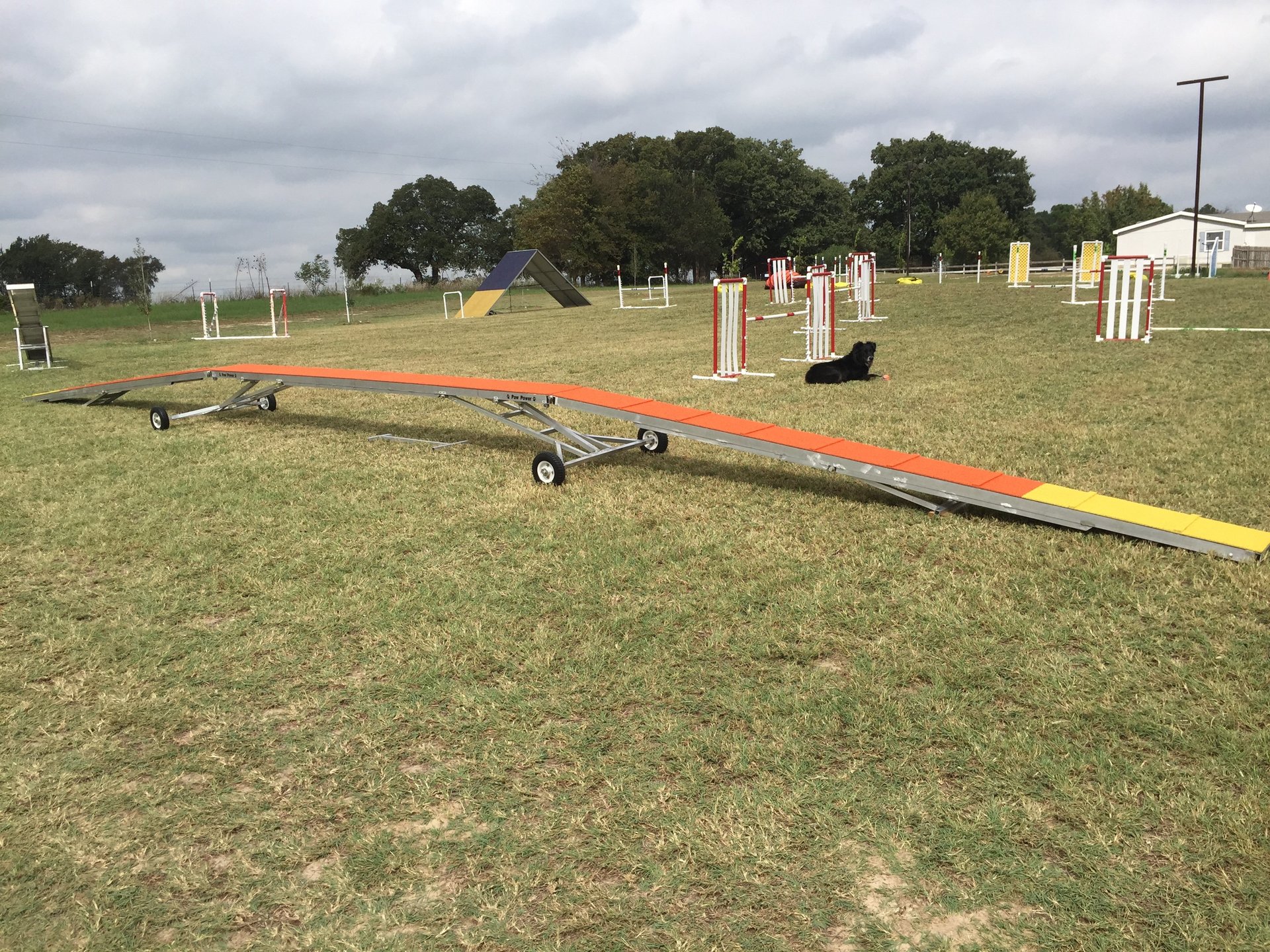 Paw Power Agility Equipment | Photo Gallery