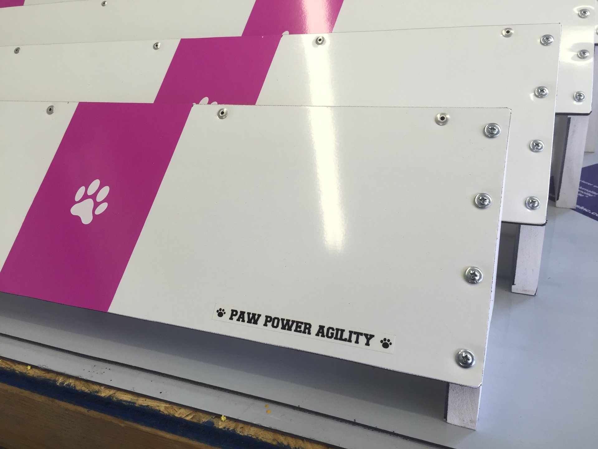 Paw Power Agility Equipment | Photo Gallery