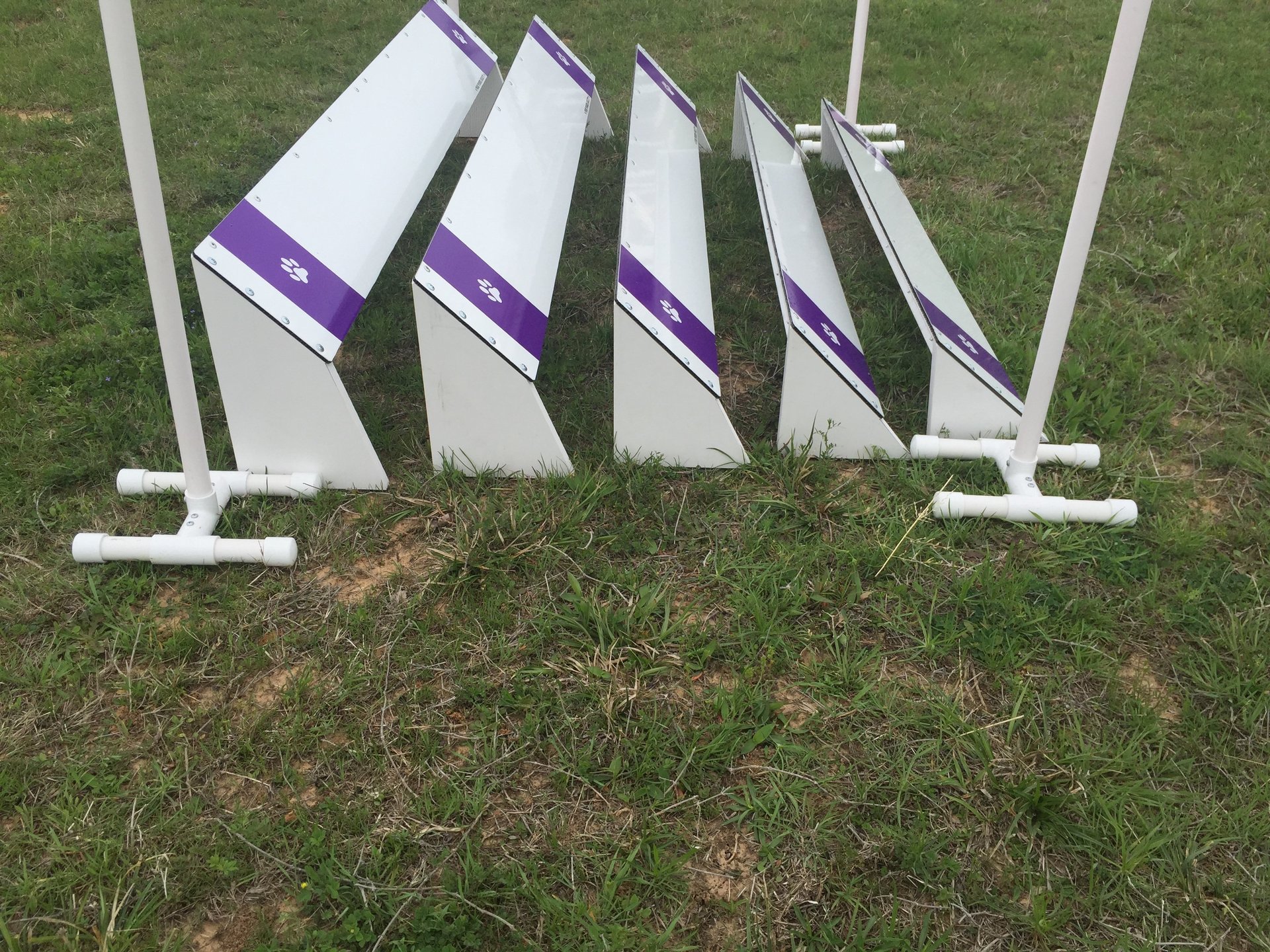 Paw Power Agility Equipment | Photo Gallery