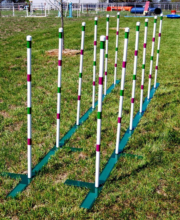 Paw Power Agility Equipment | Dog Agility Equipment