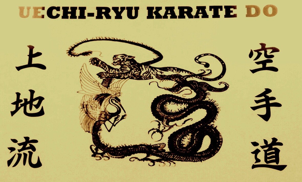 Karate tutoring | London Uechi Ryu Karate School
