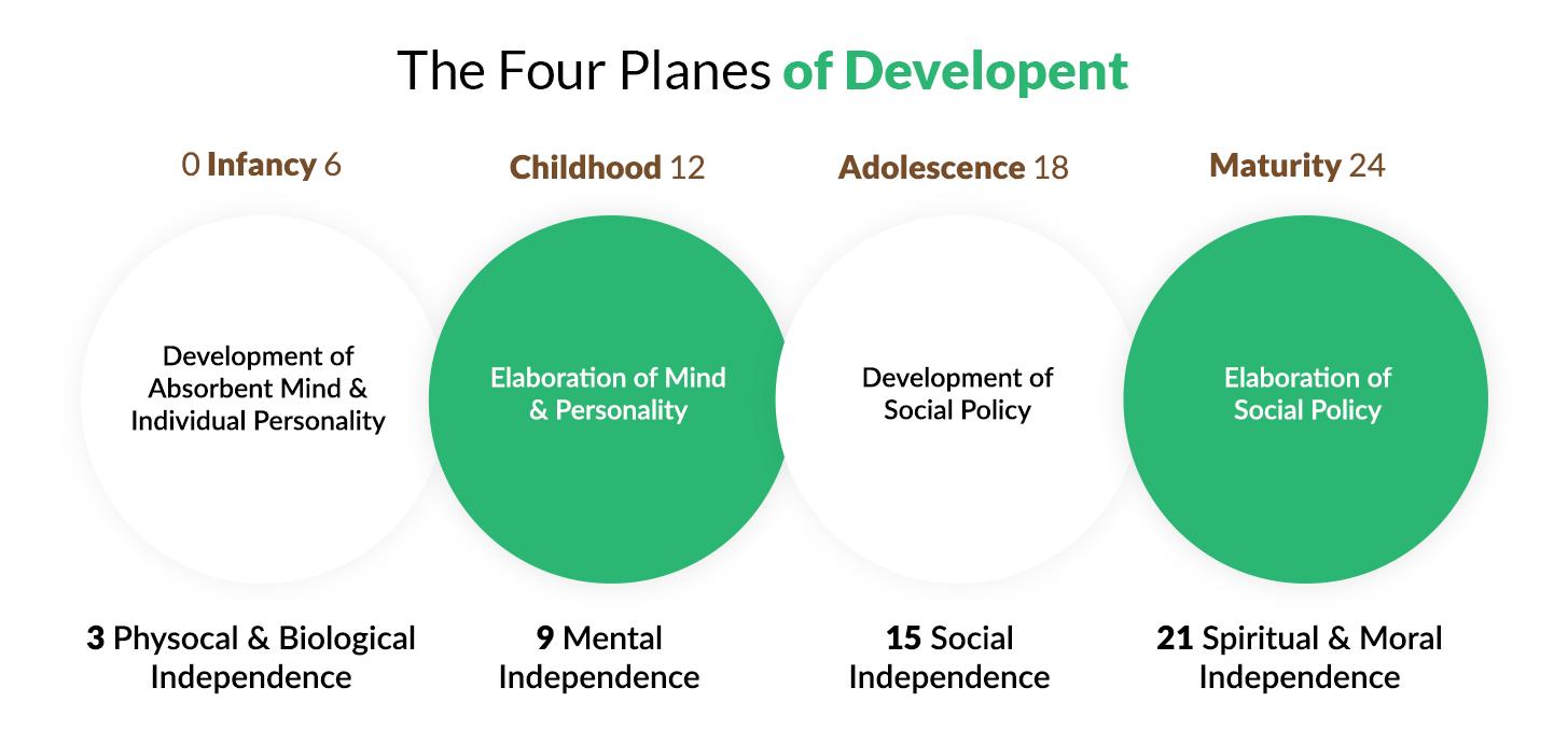 Montessori Basics: The Planes of Development
