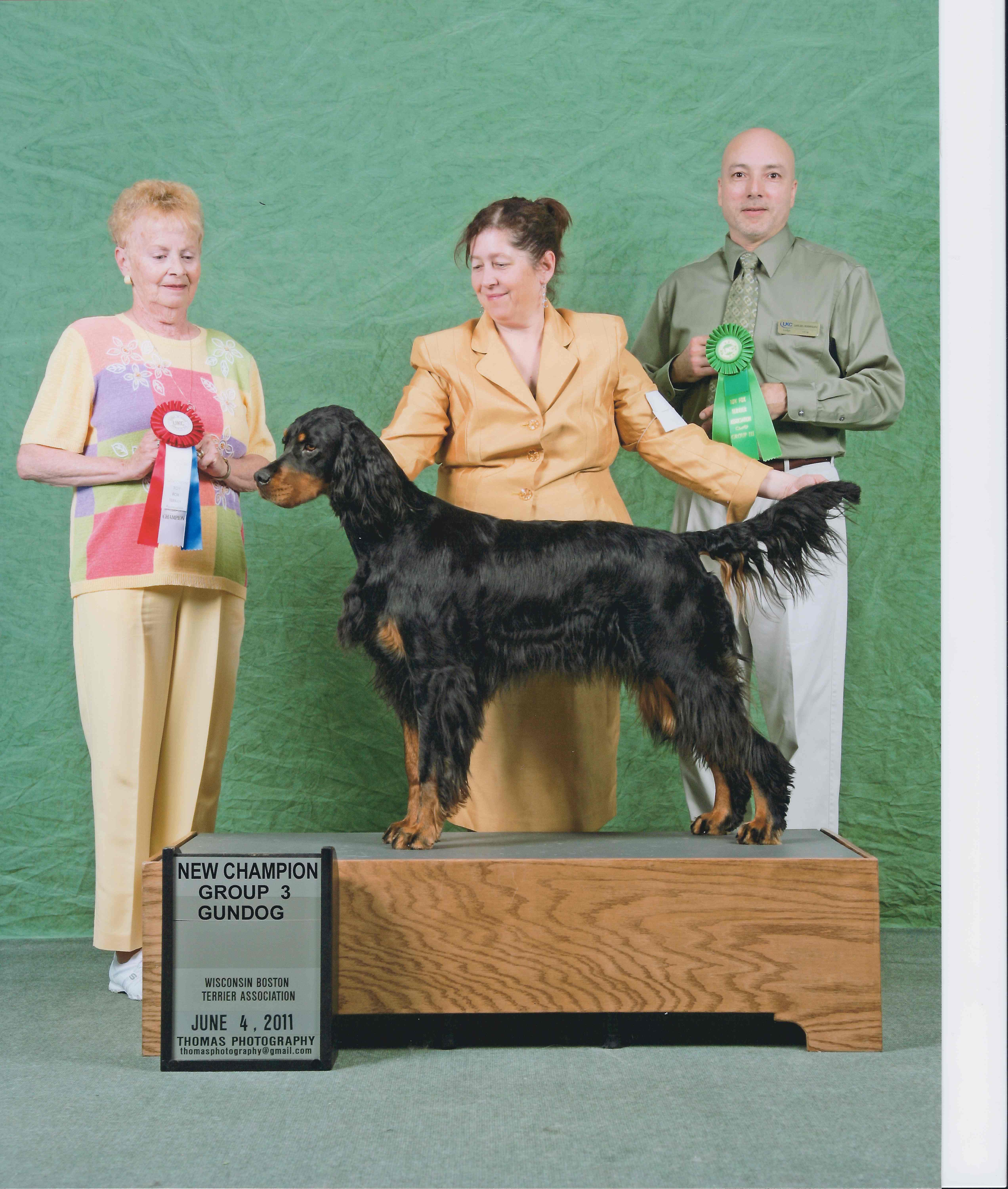 Lyric Gordon Setters Litters