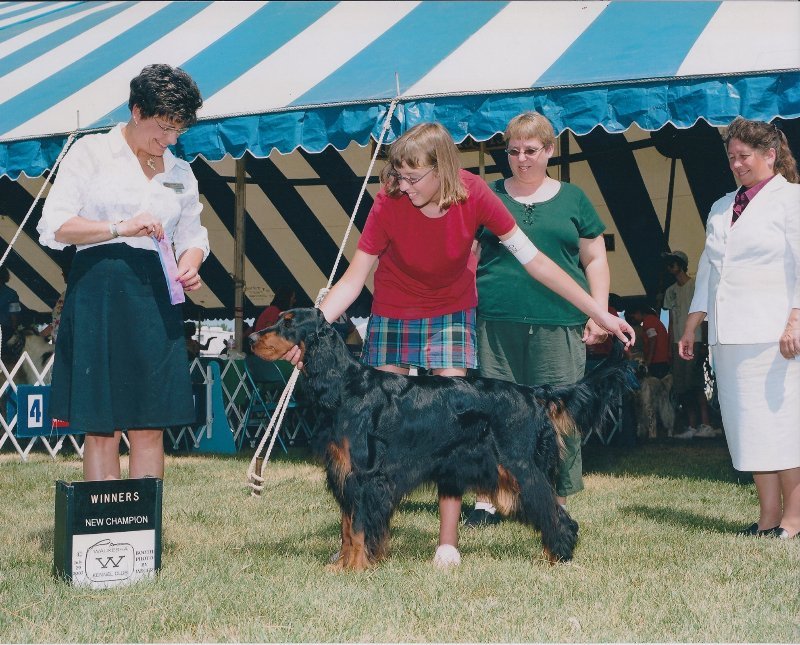 Lyric Gordon Setters & Danish-Swedish Farmdog Litters | Columbus, WI 53925