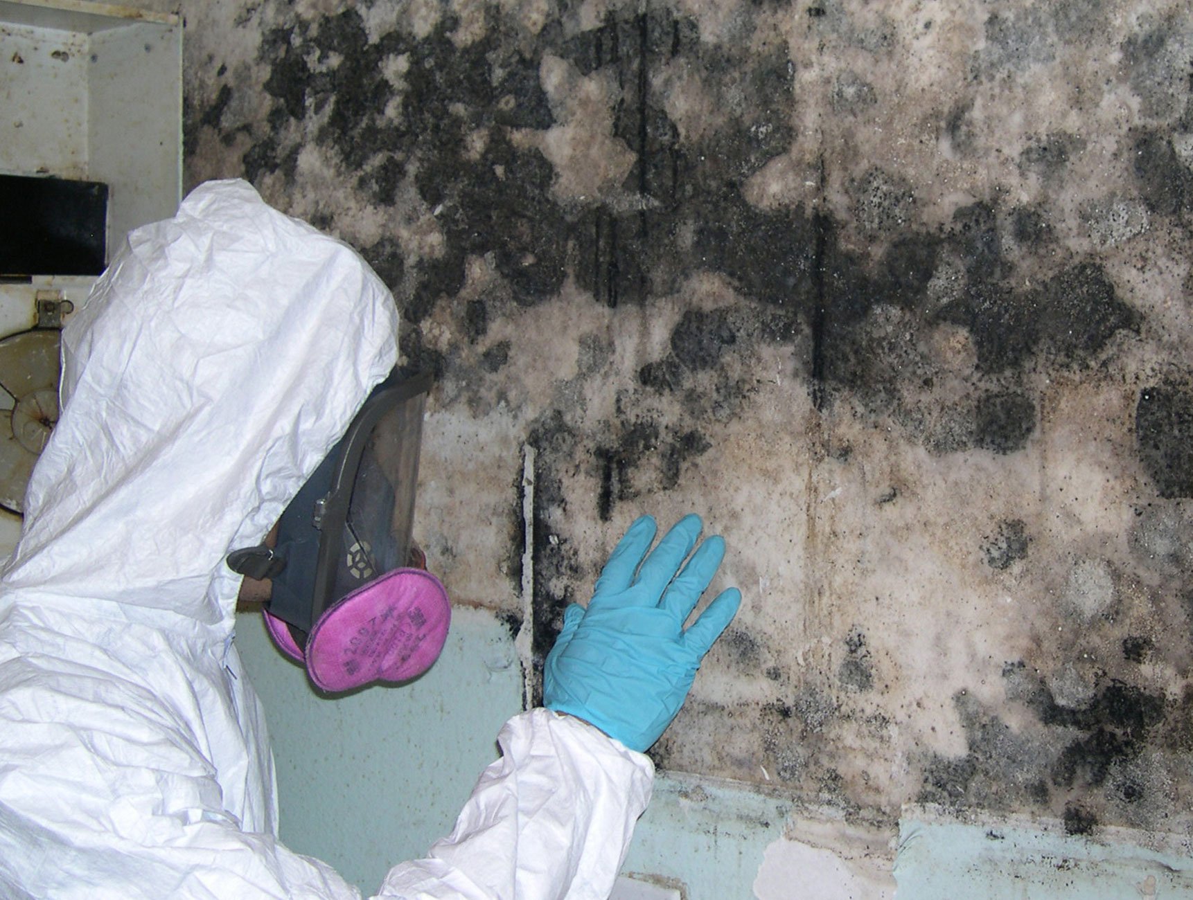Mold Inspections, Removal & Remediation Worcester, MA