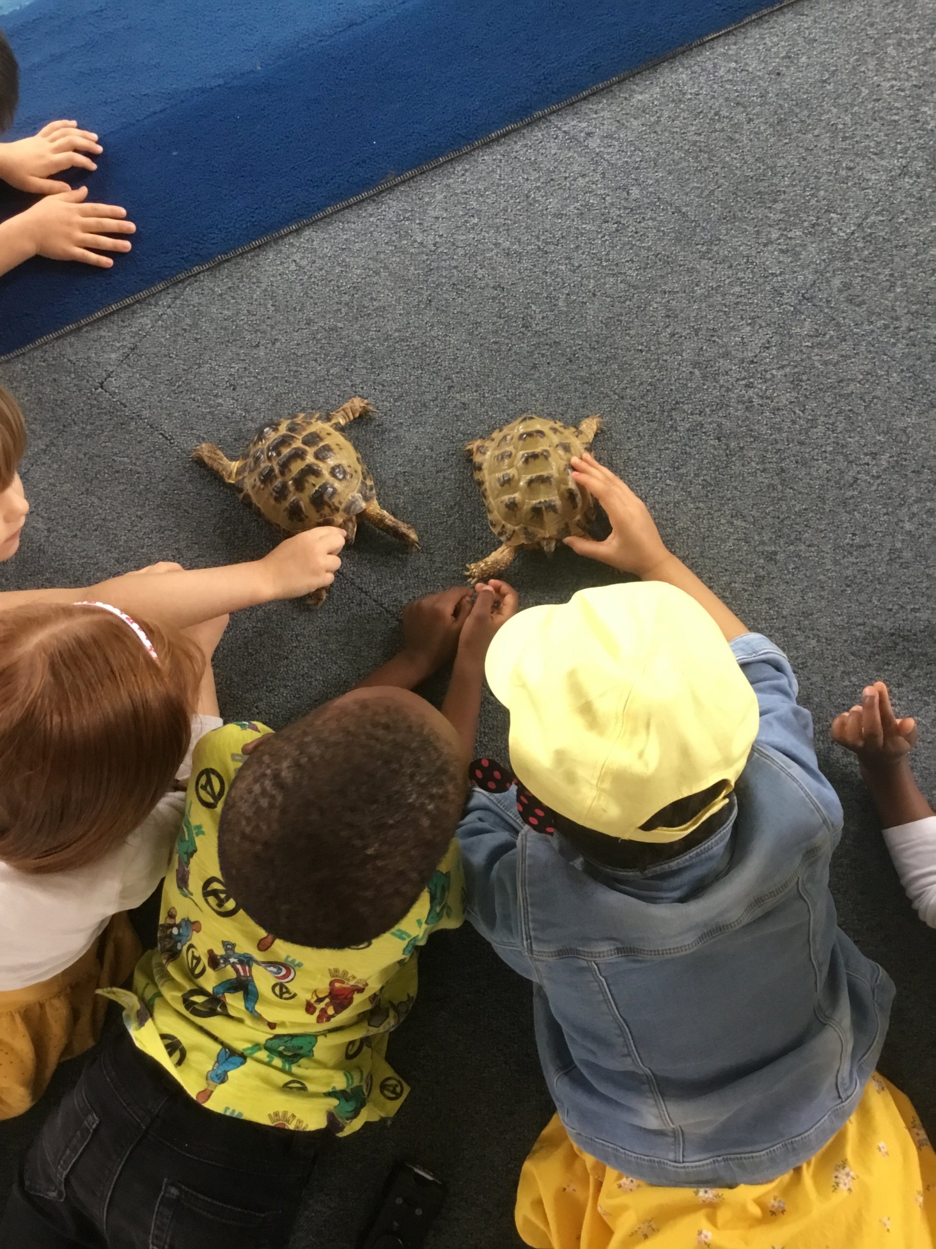 Footsteps Daycare 2018 Ltd, Northampton Town Centre Nursery